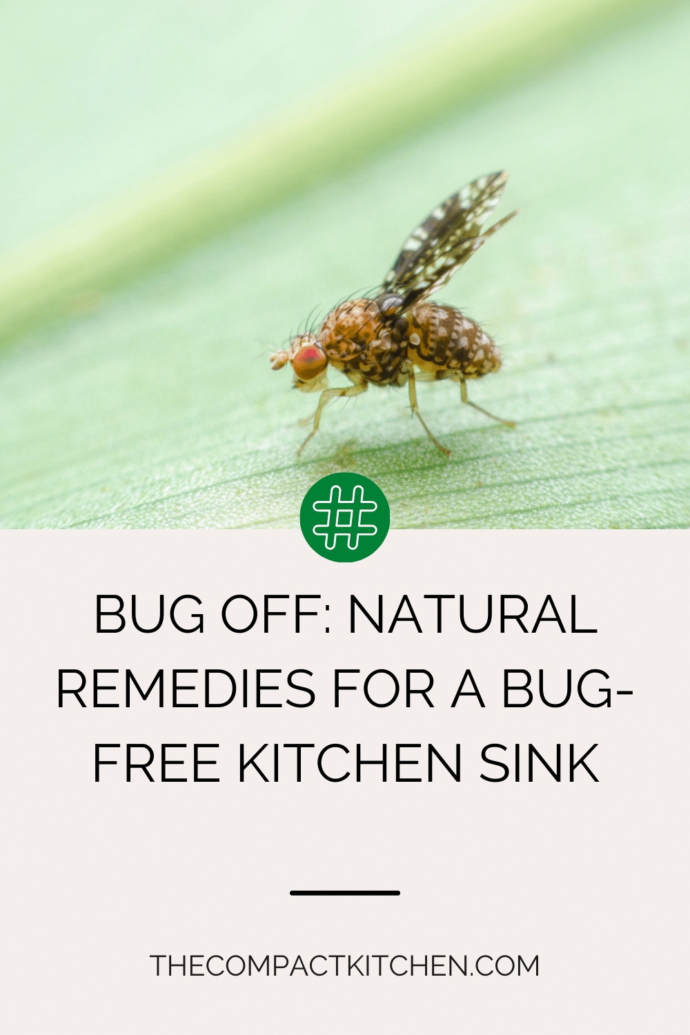Bug Off: Natural Remedies for a Bug-Free Kitchen Sink - The Compact Kitchen
