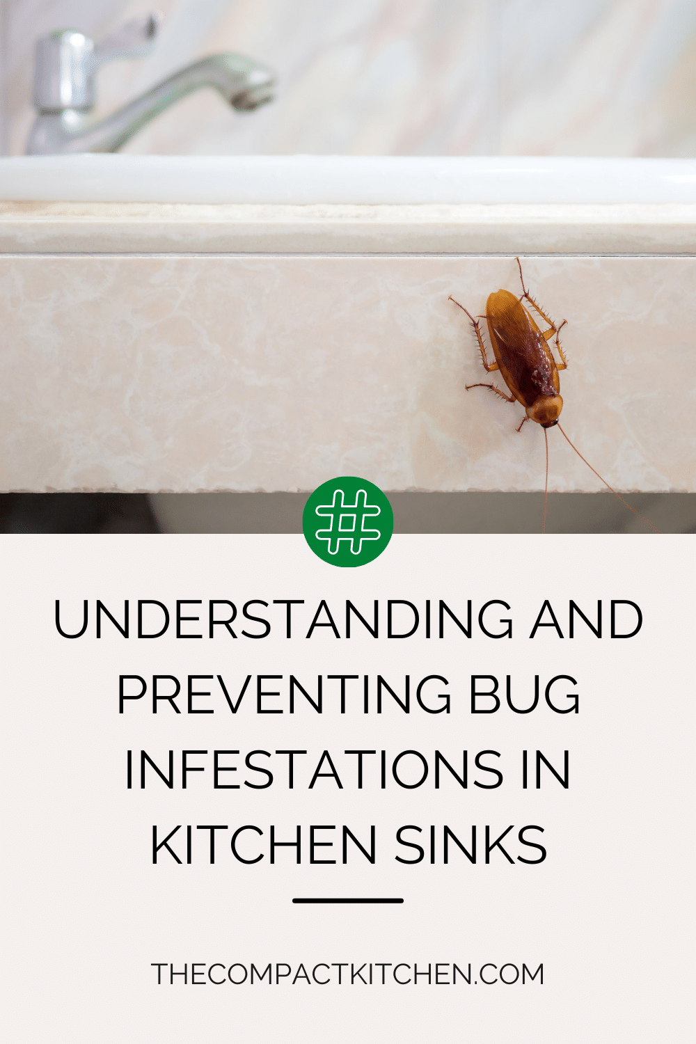 Bugged Out: Understanding and Preventing Bug Infestations in Kitchen ...