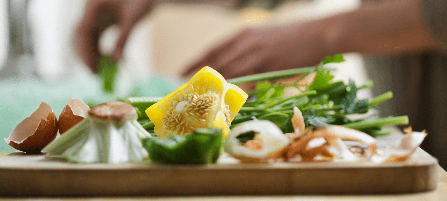 Bugged Out: Understanding and Preventing Bug Infestations in Kitchen ...