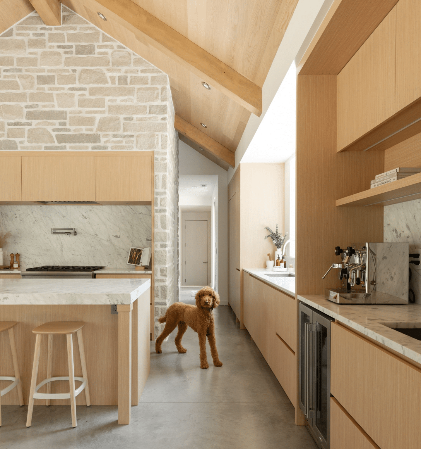 Ultimate Guide to Ash Kitchen Cabinets: Design, Maintain, and Install ...